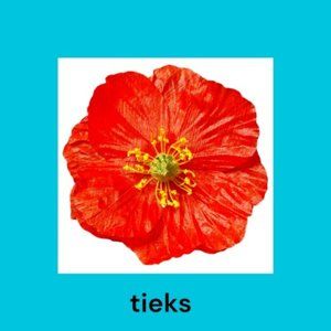 Tieks Accessories Tieks Poppy Flower Box Topper Flower Design